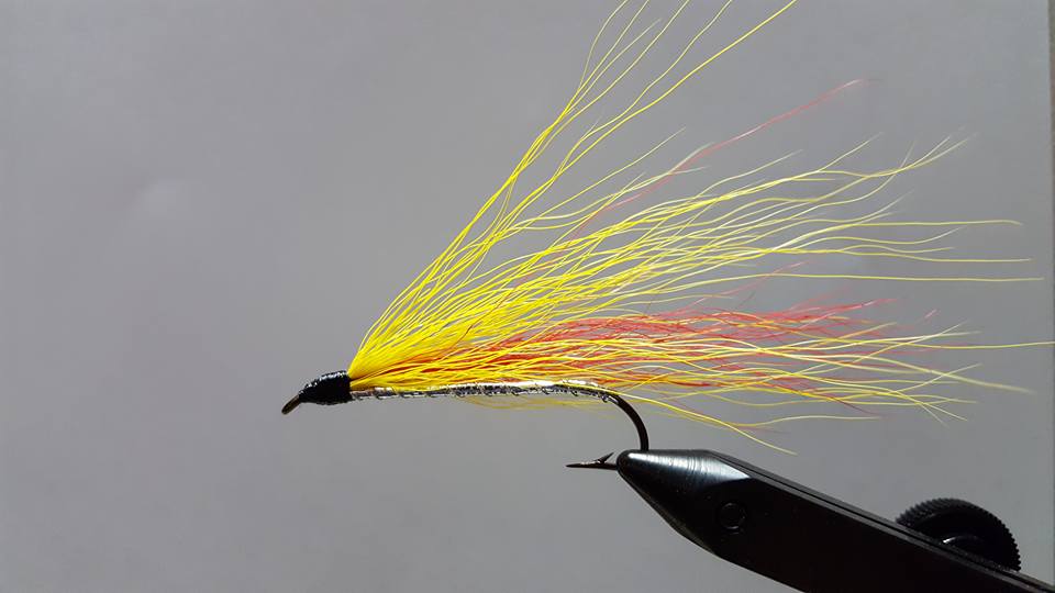 Mickey Finn – Maineiac Outfitter